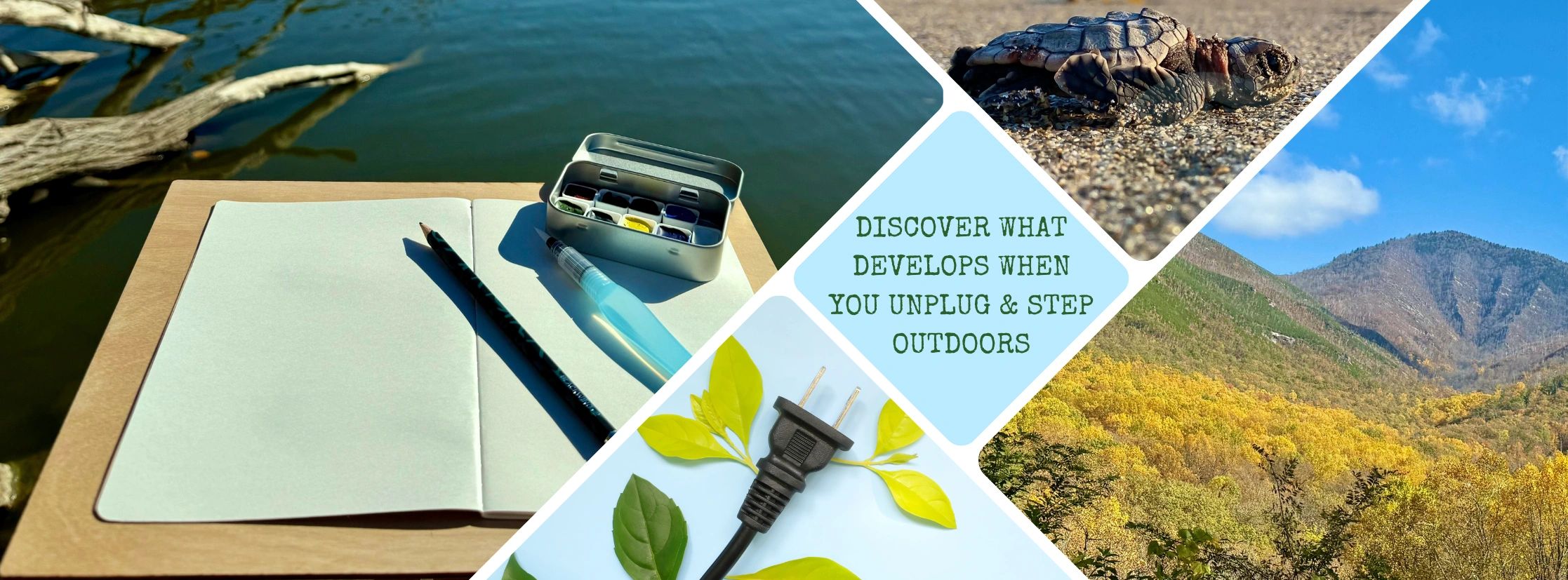 Wild Developments Studio